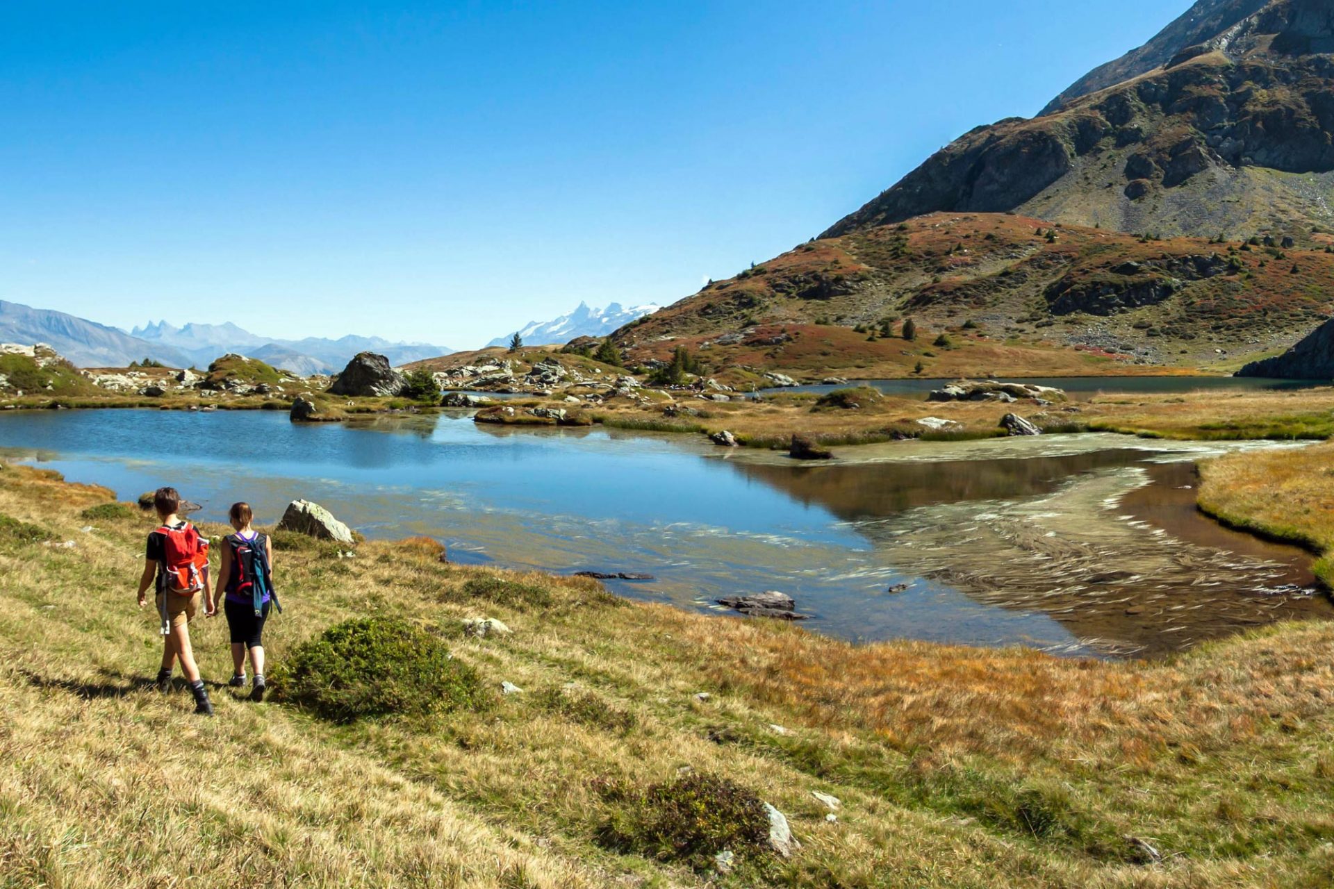 GR 50 - Hiking and walks in the Alps in Isère
